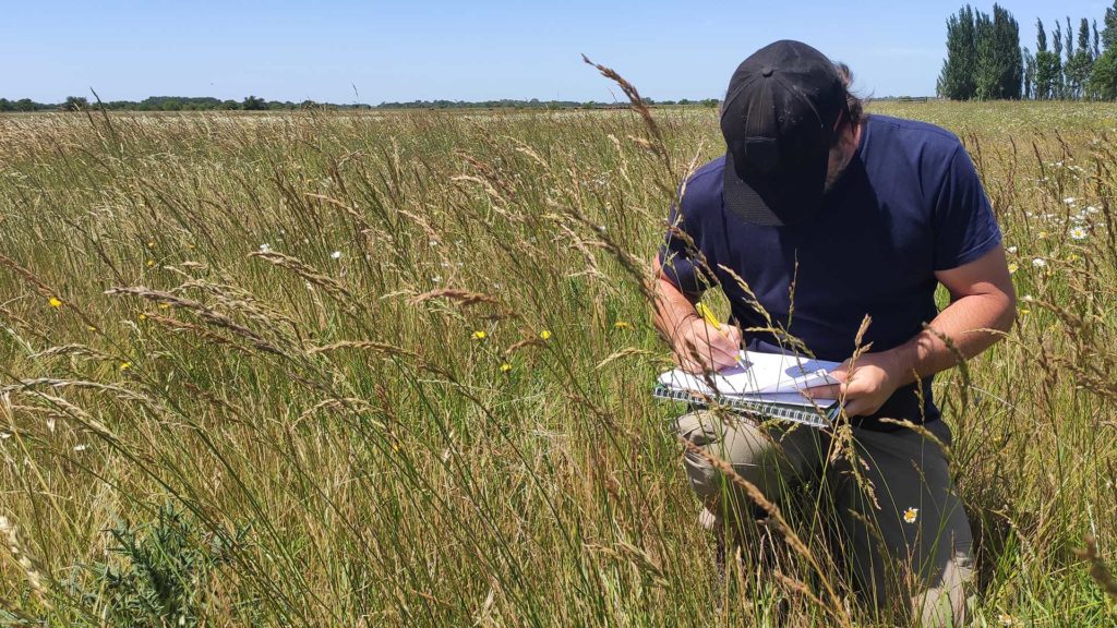 Monitoreo GRASS/EOV – Ovis21